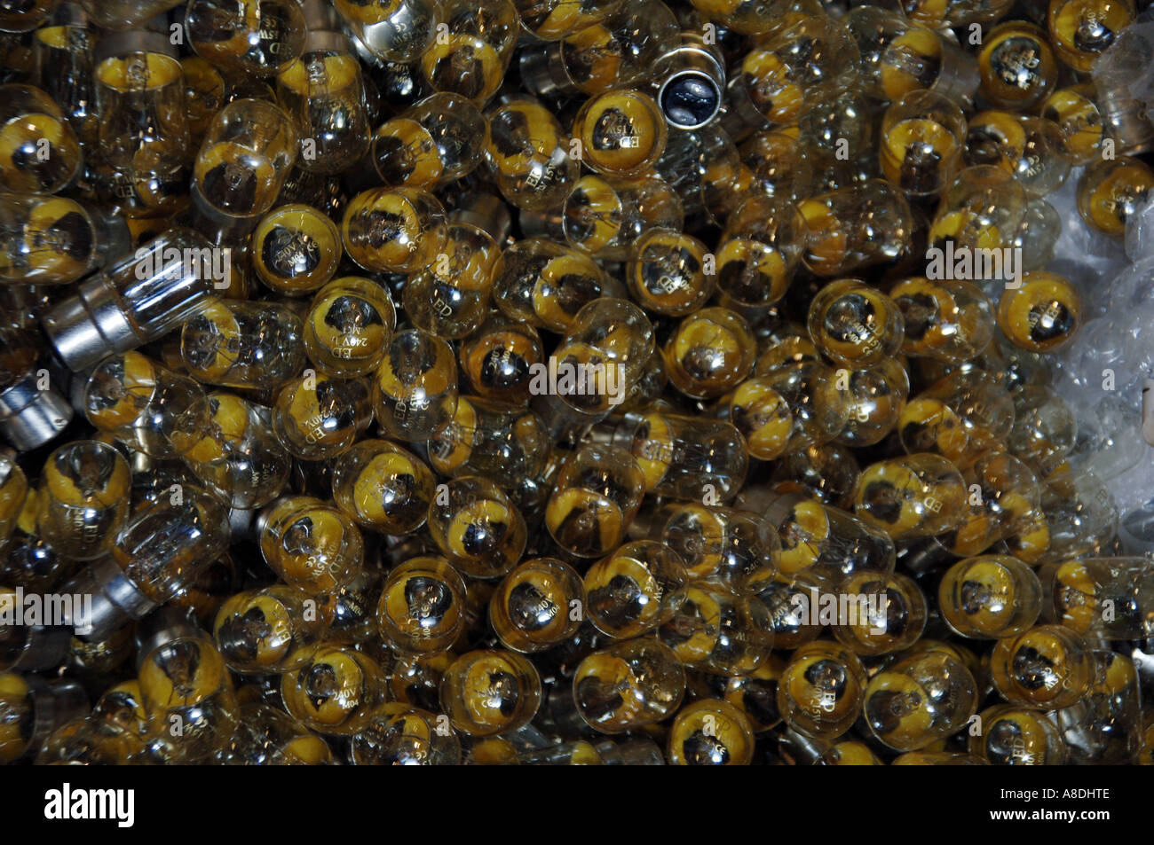 Little Yellow Light Bulbs Stock Photo - Alamy