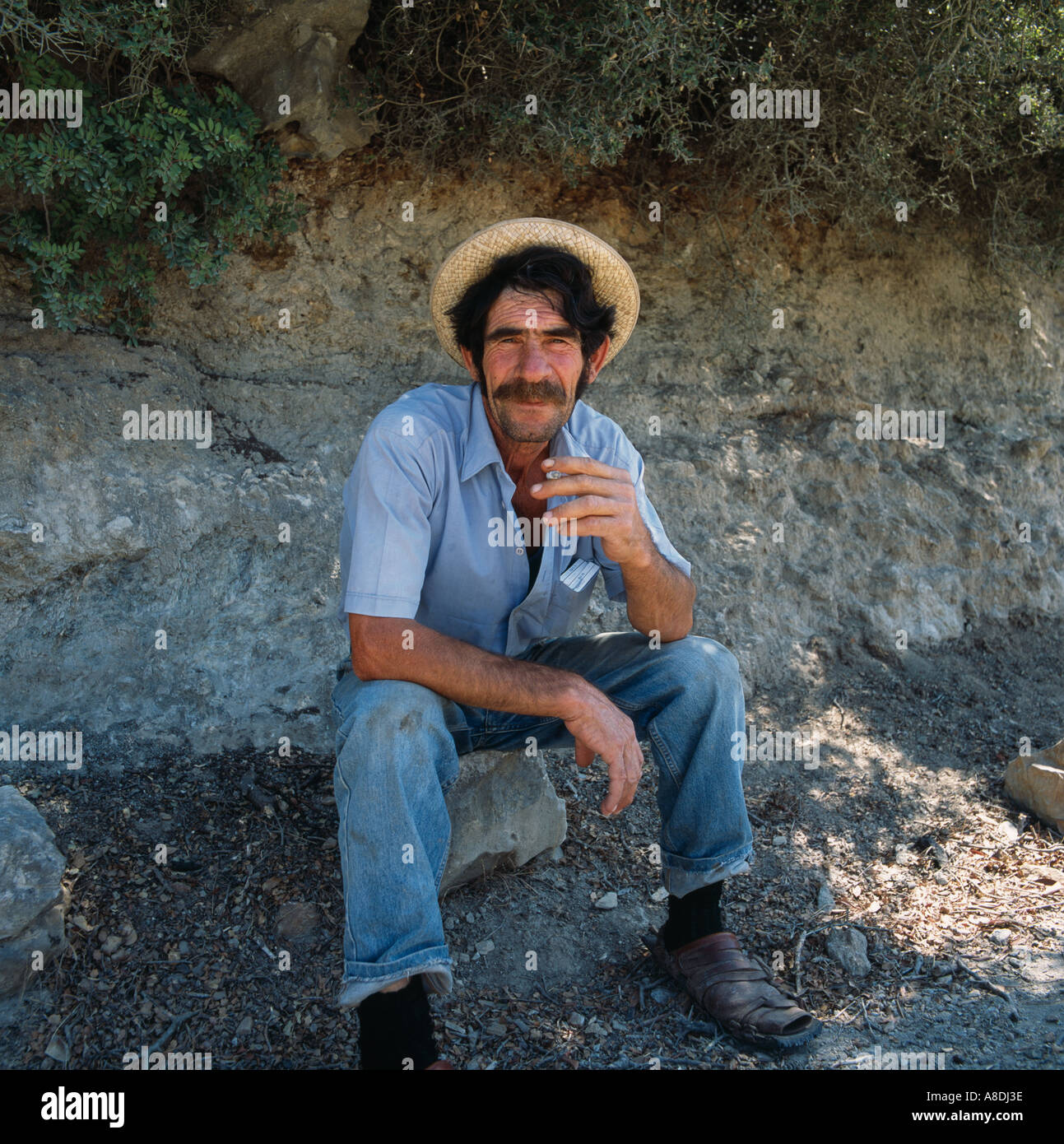 Man old shepherd hi-res stock photography and images - Alamy