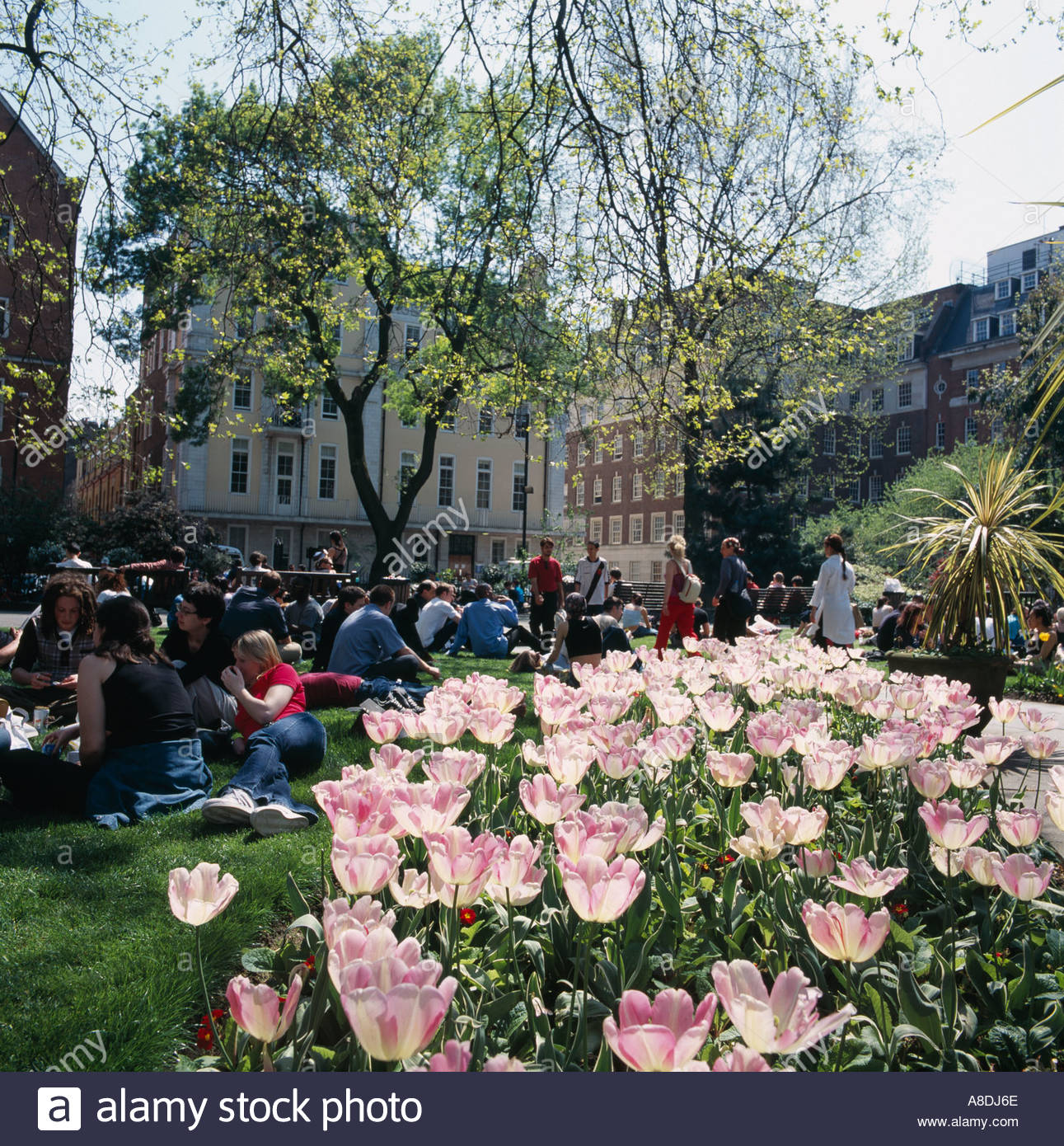 Classic soho london hi-res stock photography and images - Alamy
