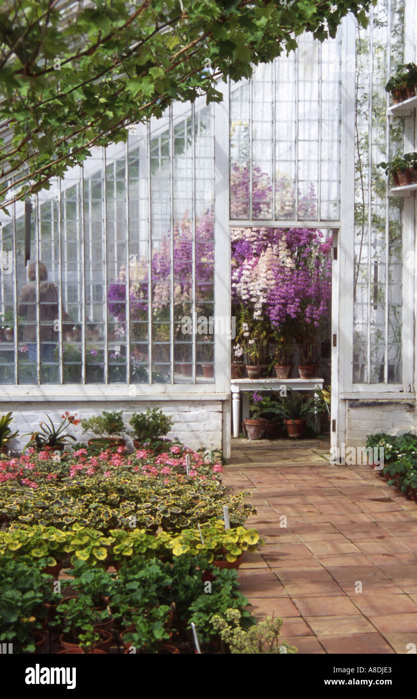 Victorian vine house hi-res stock photography and images - Alamy