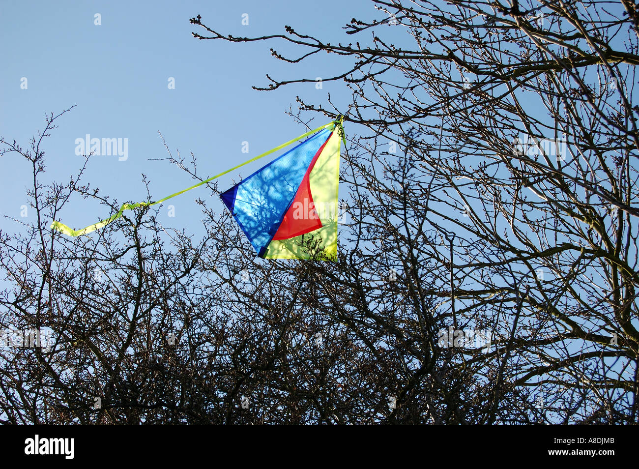 Kite stuck in tree hi-res stock photography and images - Alamy
