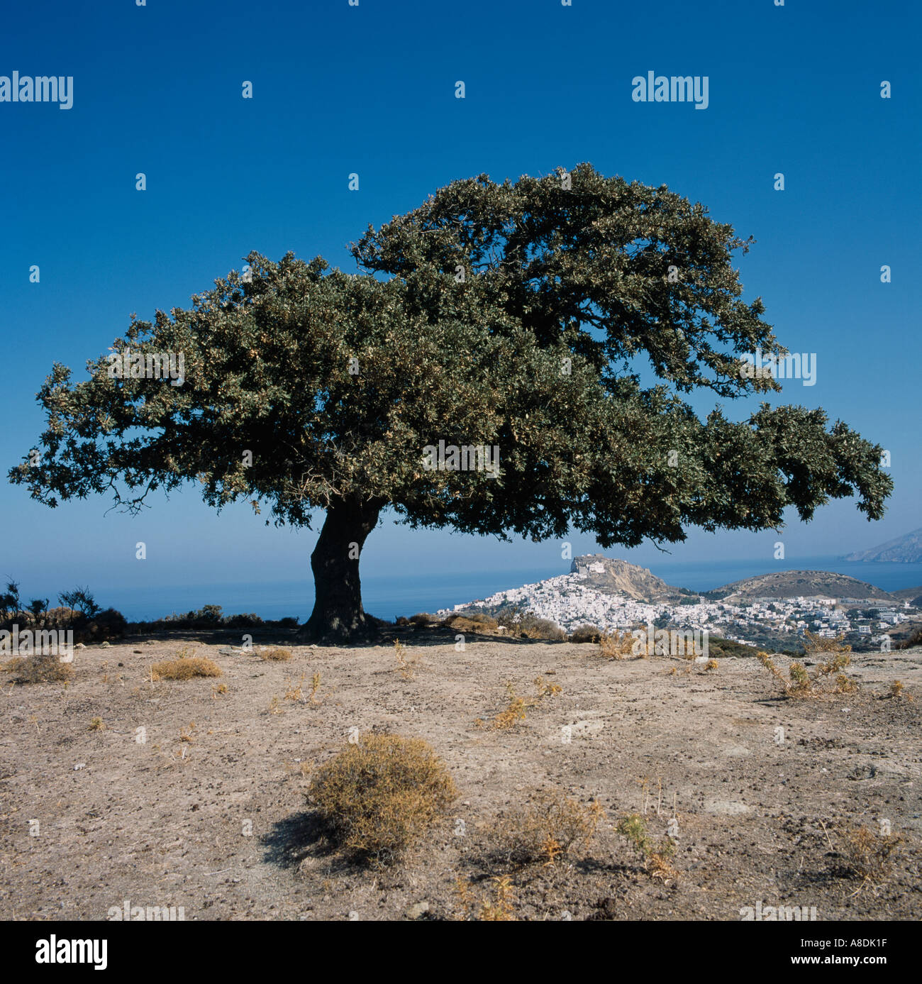 Town of lone oak hi-res stock photography and images - Alamy