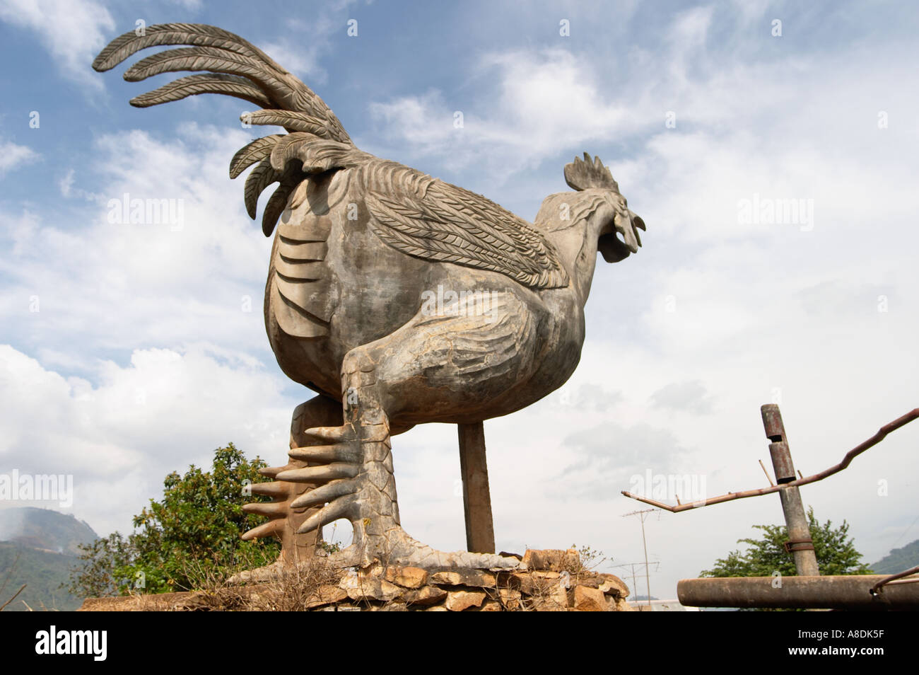 giant carved stone chicken statue in the village nicknamed chicken ...