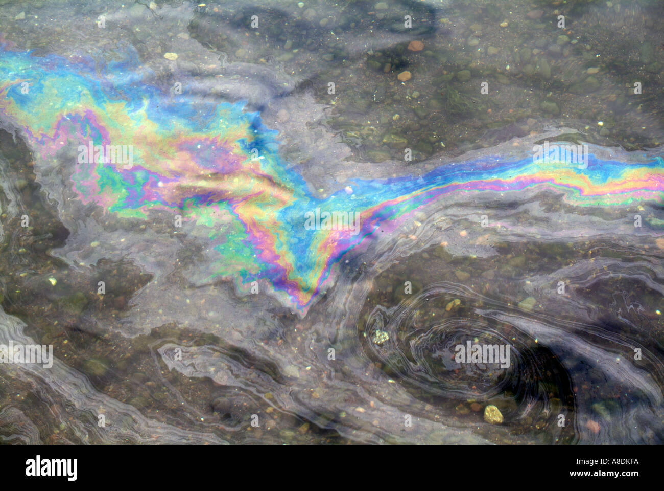 oil slick and water pollution fule Stock Photo - Alamy