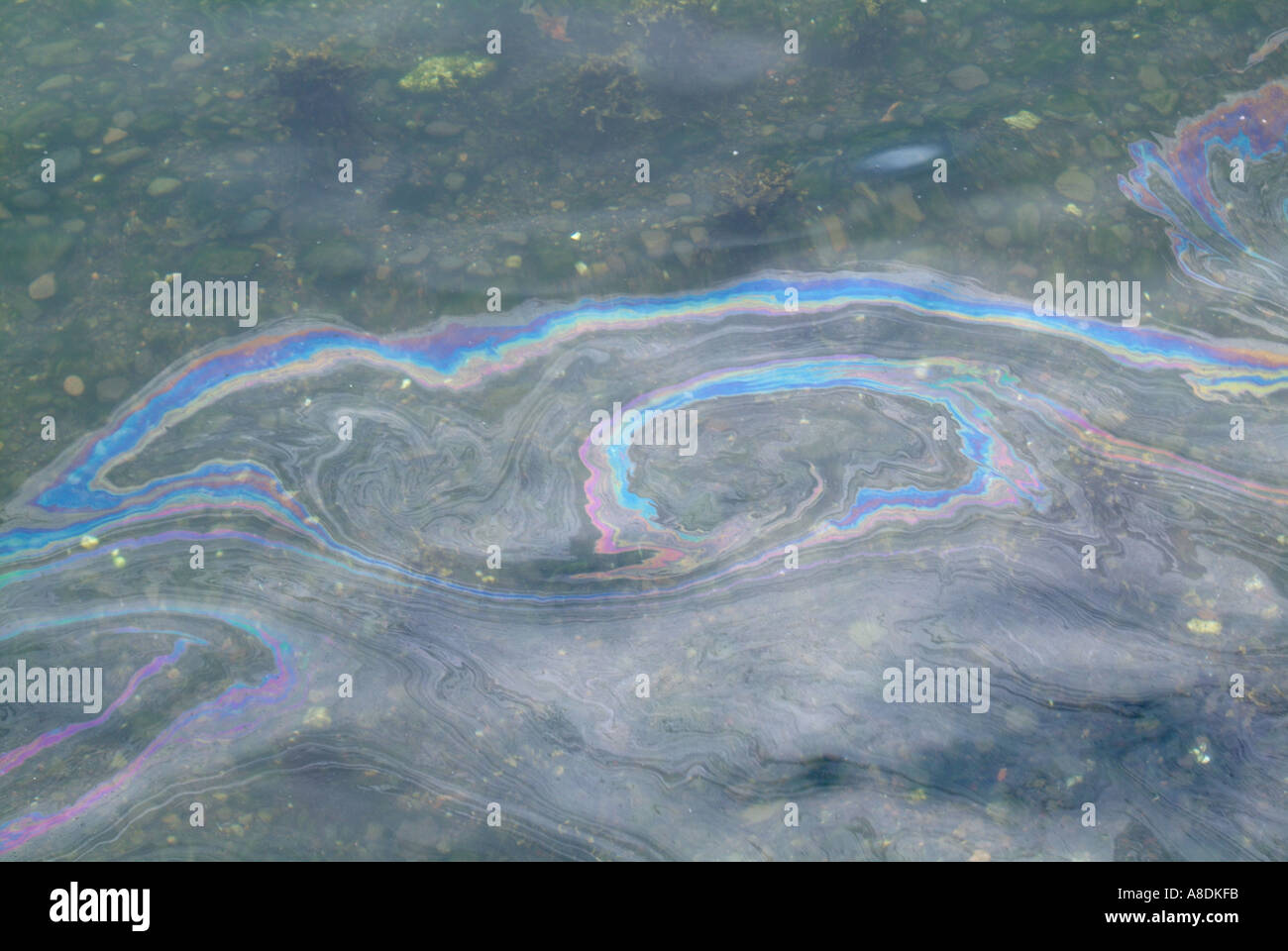 oil slick and water pollution fule Stock Photo - Alamy