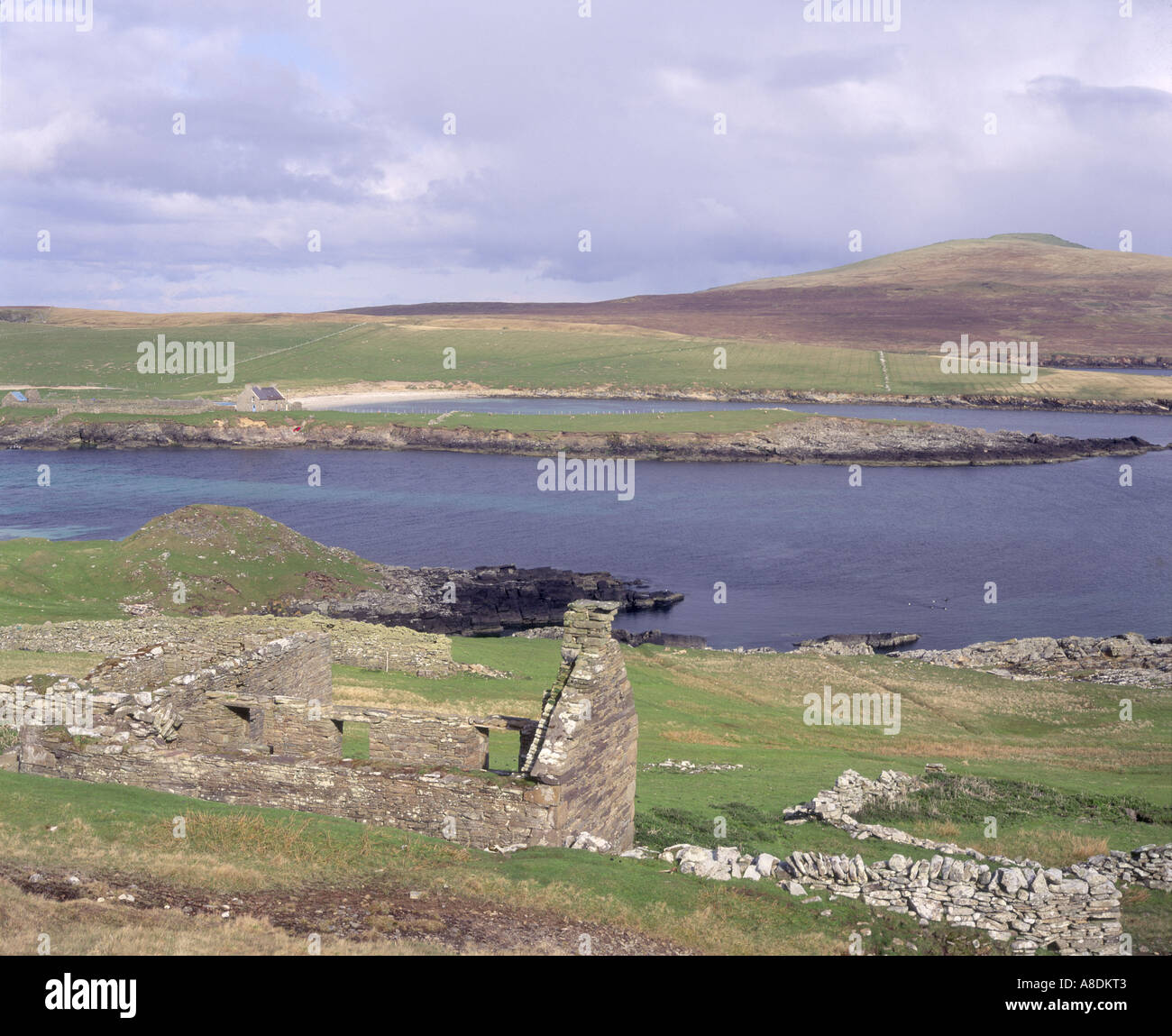 Isle of Noss Shetland Isles Stock Photo - Alamy