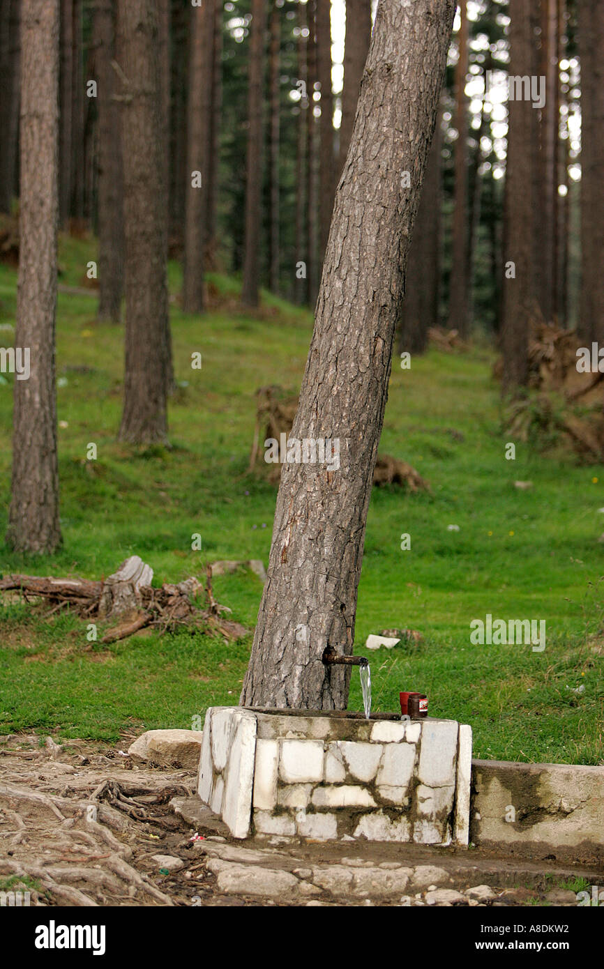 Spring water trough road rural Republic Bulgaria Balkan Peninsula south ...