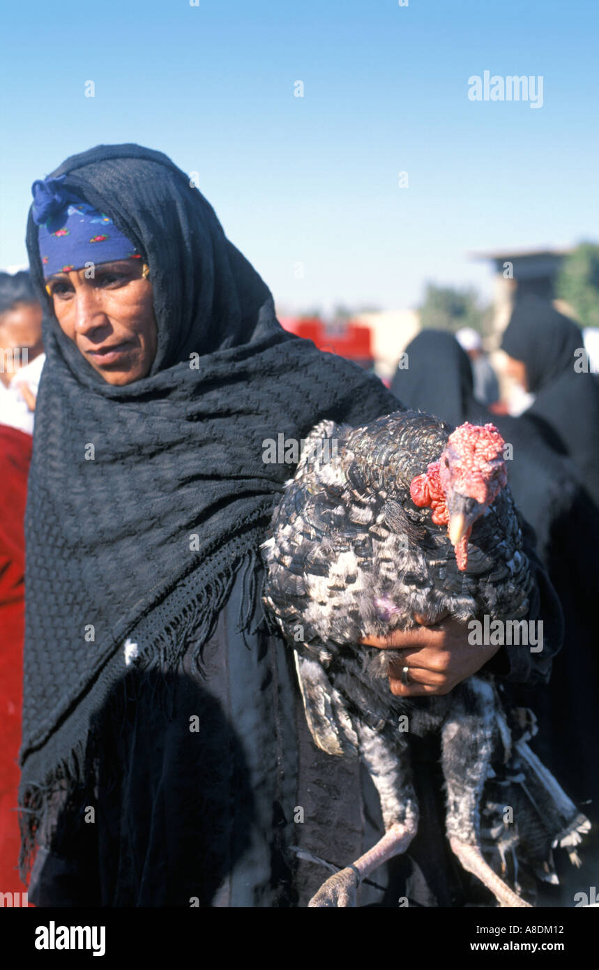 EGYPT LUXOR WOMAN WITH HEN ON LOCAL MARKET Stock Photo - Alamy