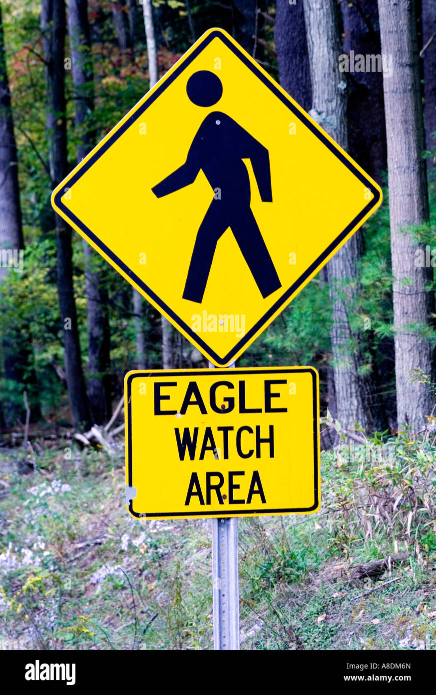 Eagle warning sign hi-res stock photography and images - Alamy