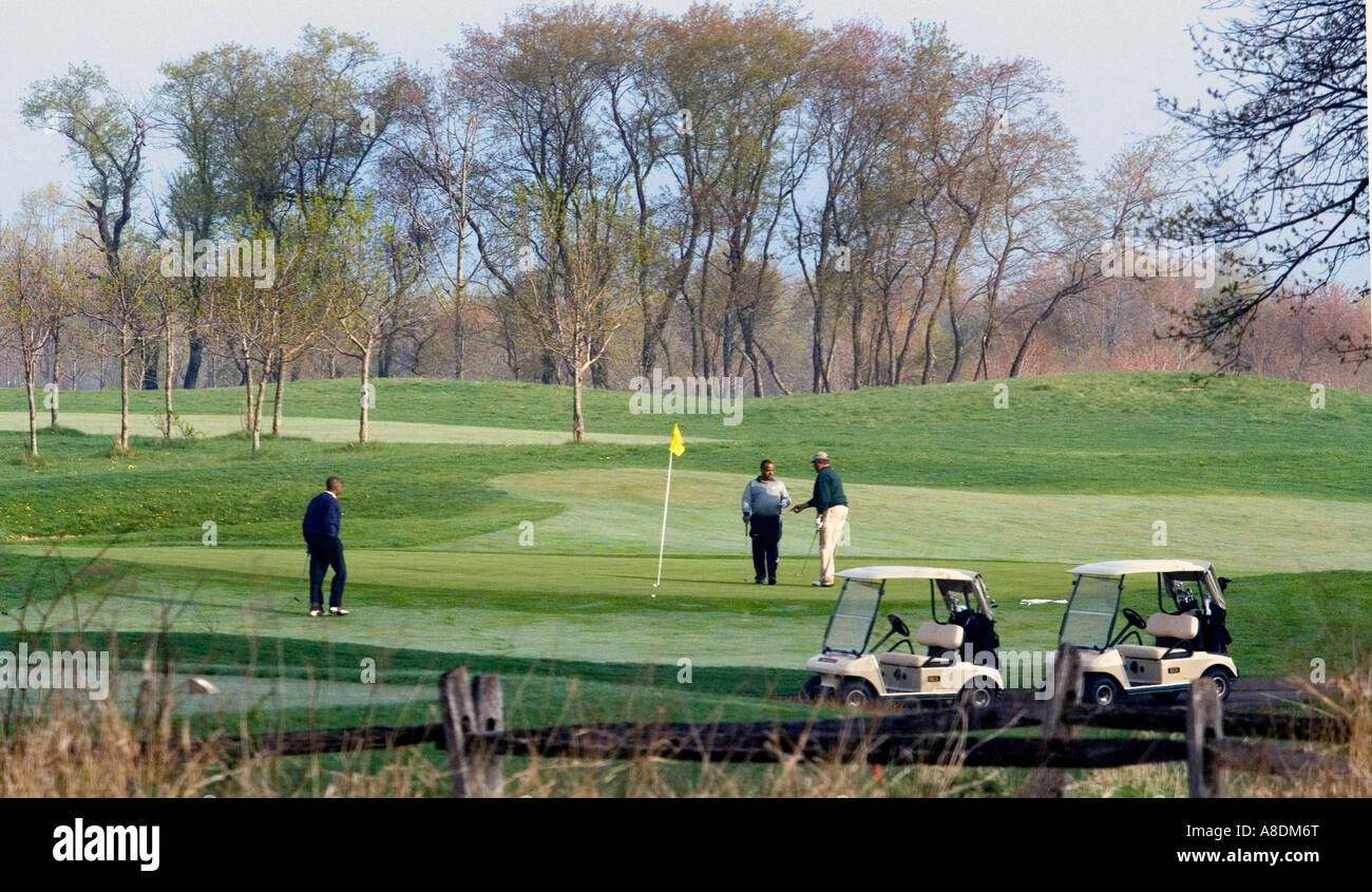 Golfers on a putting green Stock Photo - Alamy