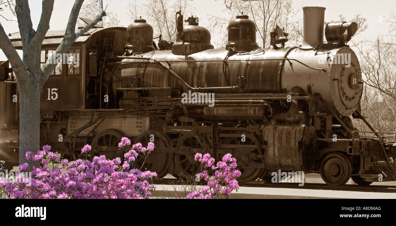An old steam locomotive with azaleas in the foreground Stock Photo - Alamy