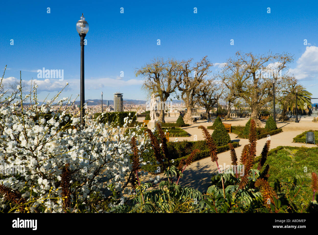 Barcelona Spring Blossom High Resolution Stock Photography and Images ...