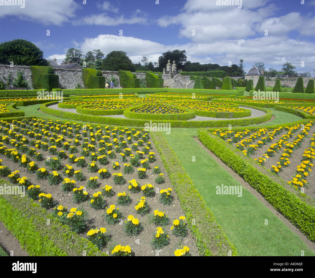 Pitmedden Gardens Aberdeenshire Stock Photo - Alamy