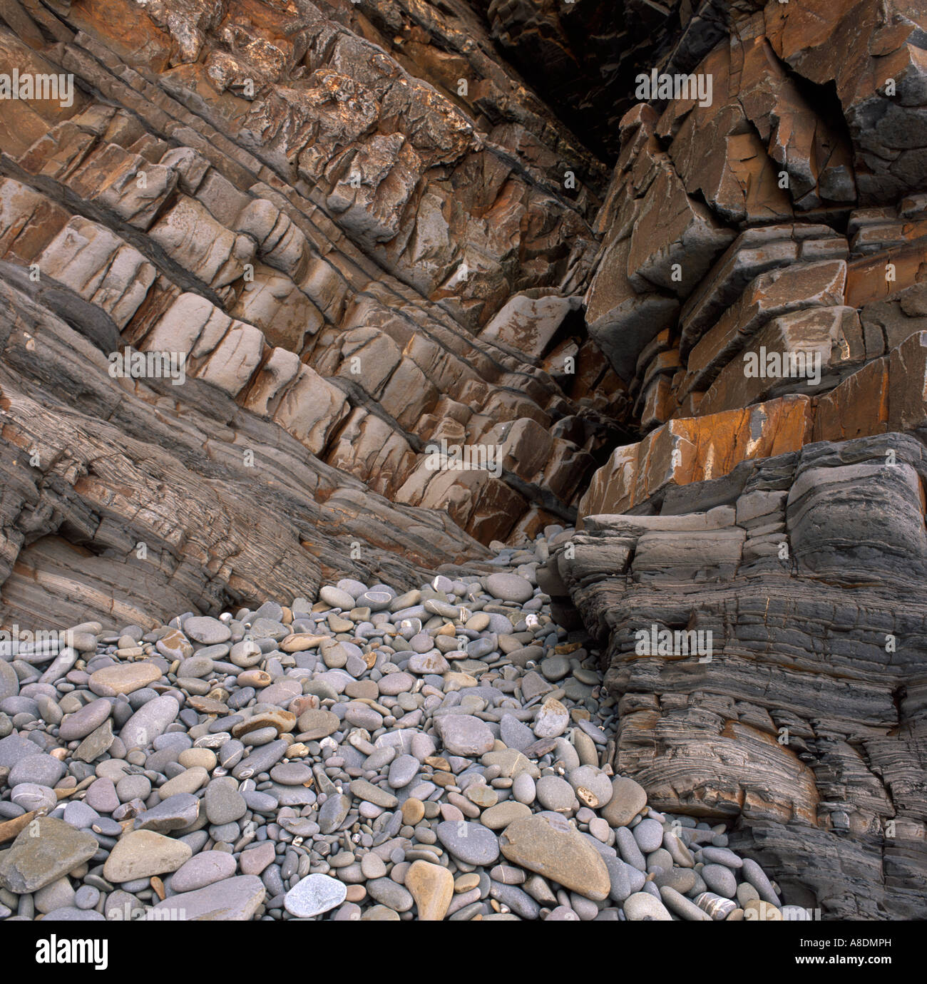 Cliff detail at Sandymouth, Cornwall, UK, showing strata and pebbles ...