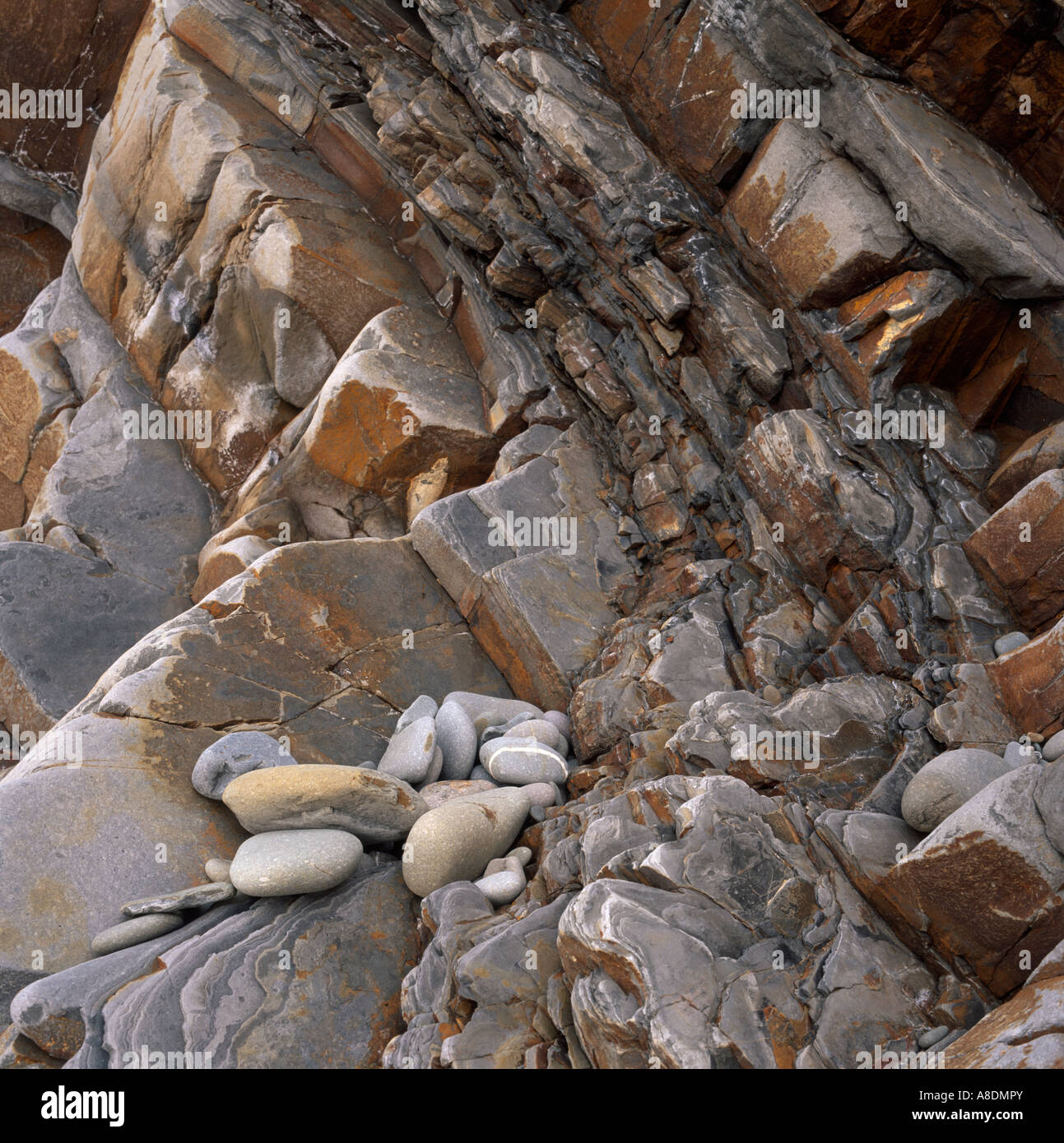 Cliff detail at Sandymouth, Cornwall, UK, showing strata and pebbles ...