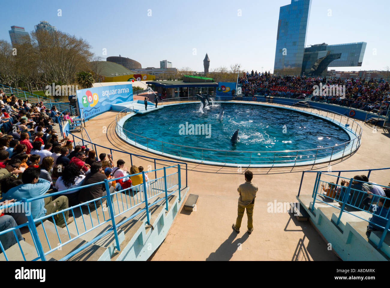 Audience at dolphin show hi-res stock photography and images - Alamy