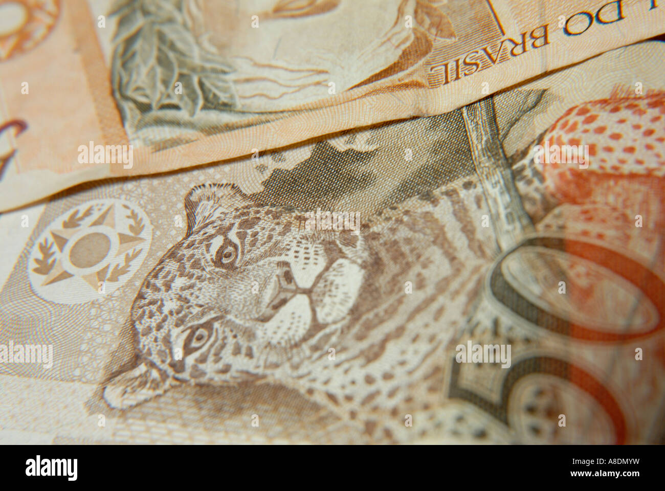 Fifty reals hi-res stock photography and images - Alamy