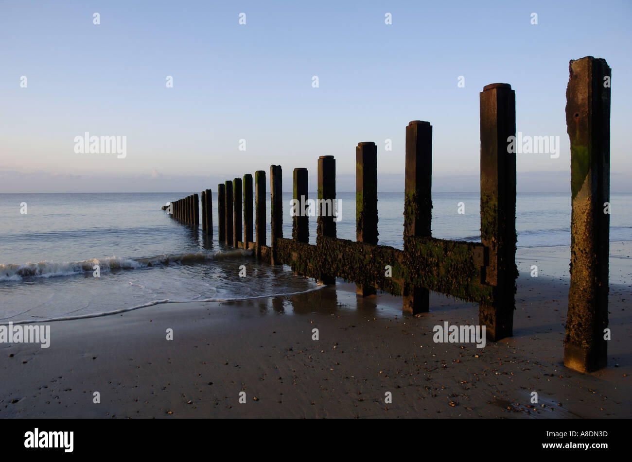 Groynes reaching out to sea at Holland Haven Clacton on Sea Stock Photo ...