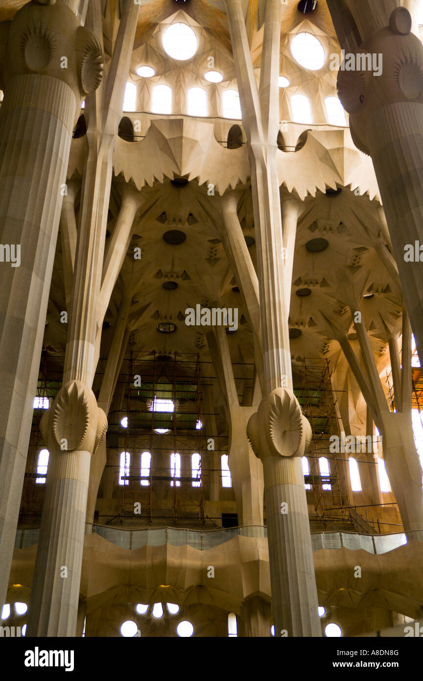 Barcelona Sagrada Familia Gaudi cathedral church 2007 columns or ...