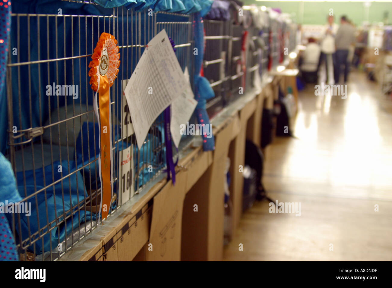 Exhibition cat hi-res stock photography and images - Alamy