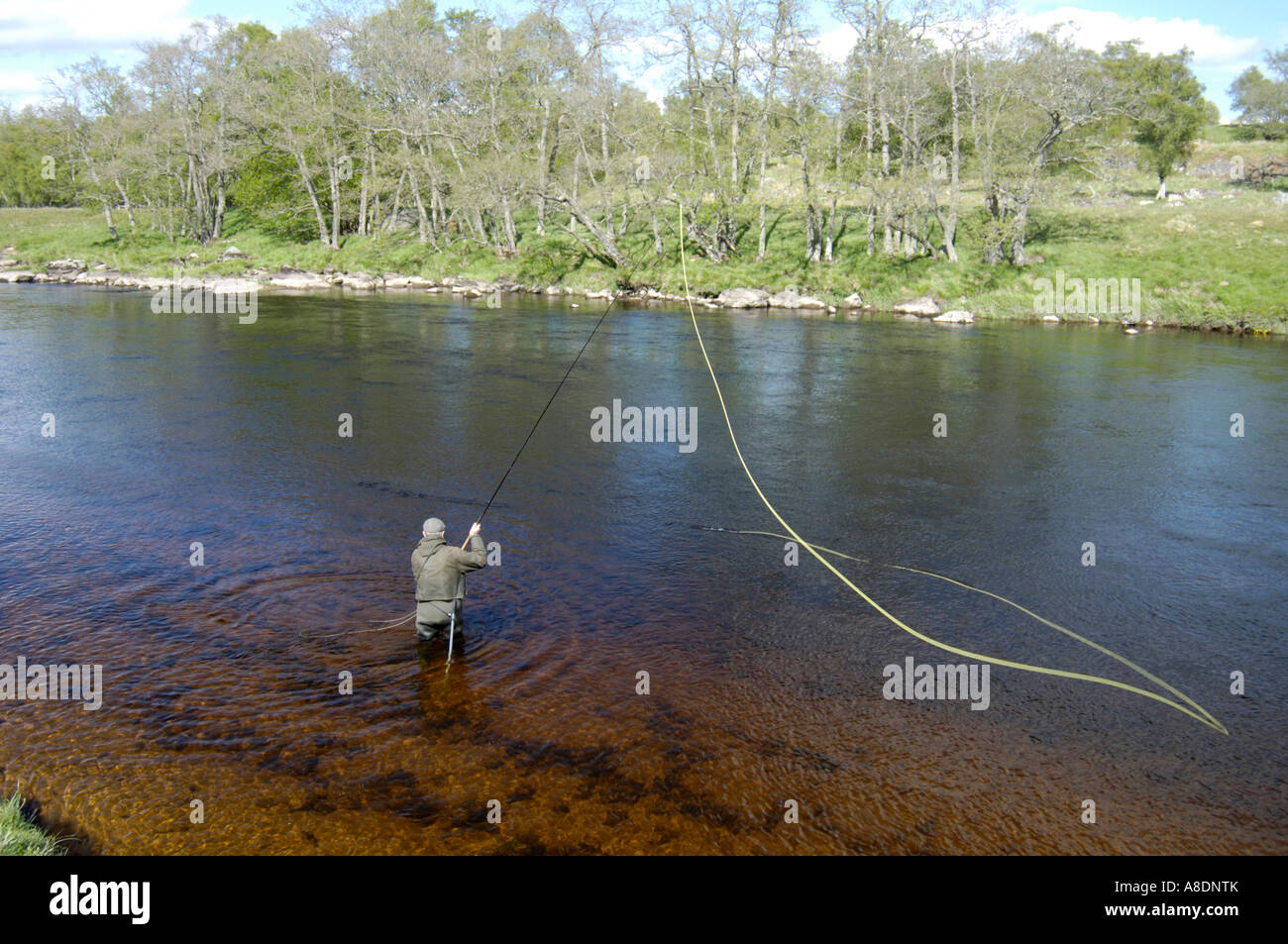 Salmon Fishing on the famous River Spey at Grantown on Spey Morayshire ...