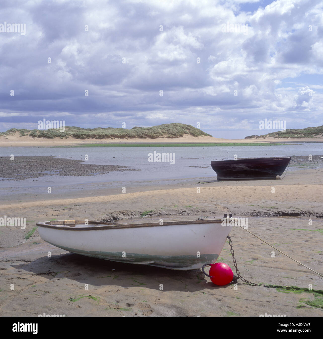 Forvie national nature reserve hi-res stock photography and images - Alamy