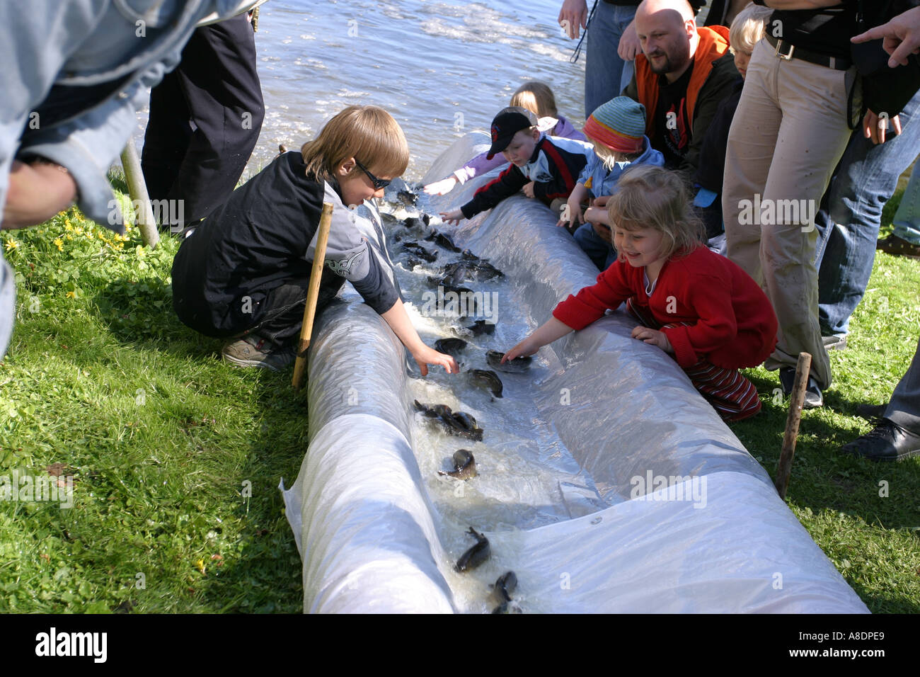 Return of salmon fishing hi-res stock photography and images - Alamy