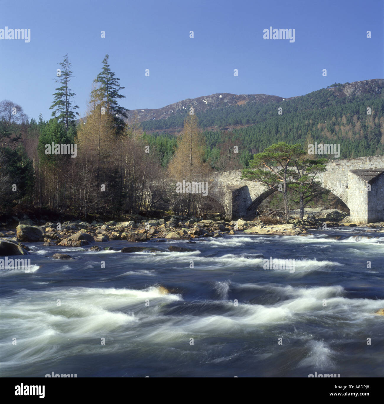 Old brig dee river dee hi-res stock photography and images - Alamy
