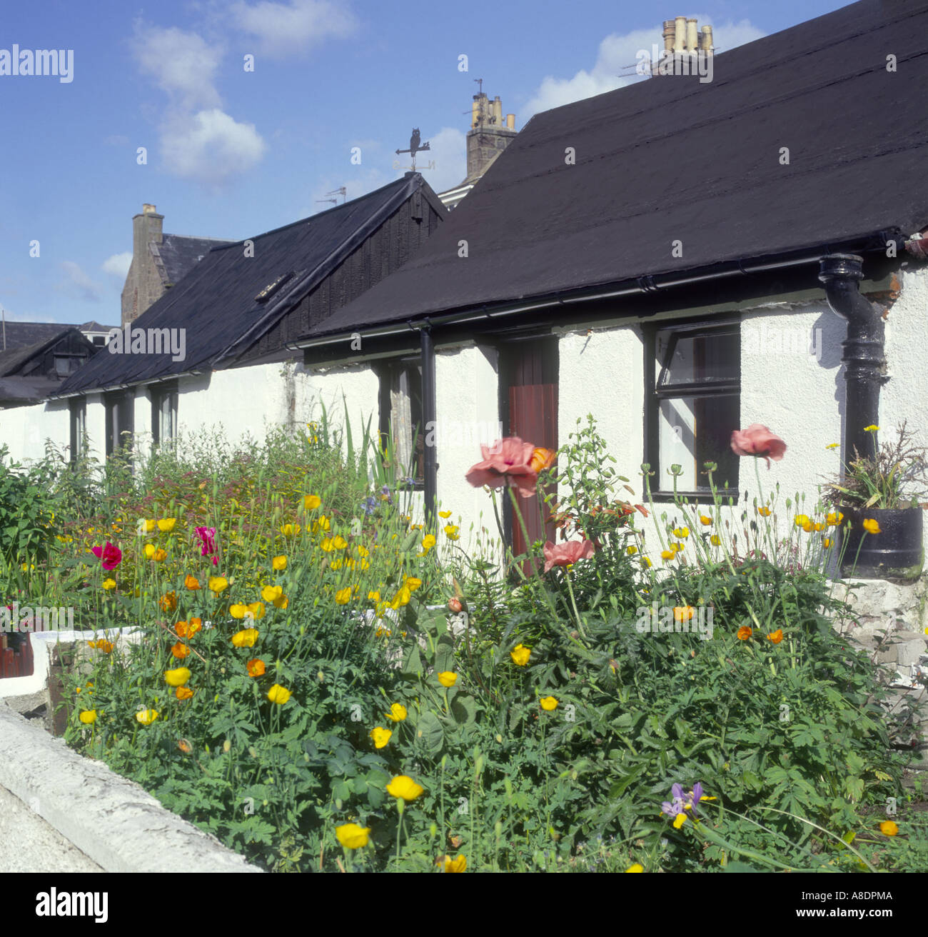Aberdeen community of footdee hi-res stock photography and images - Alamy