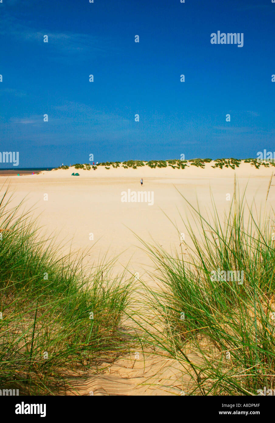 Wells Next the Sea Beach Norfolk England Stock Photo - Alamy