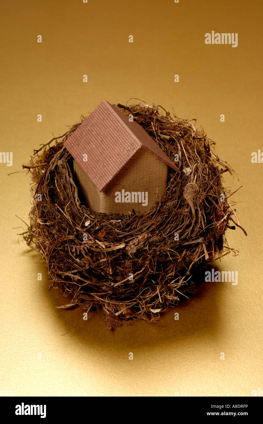 House inside a birds nest Stock Photo - Alamy