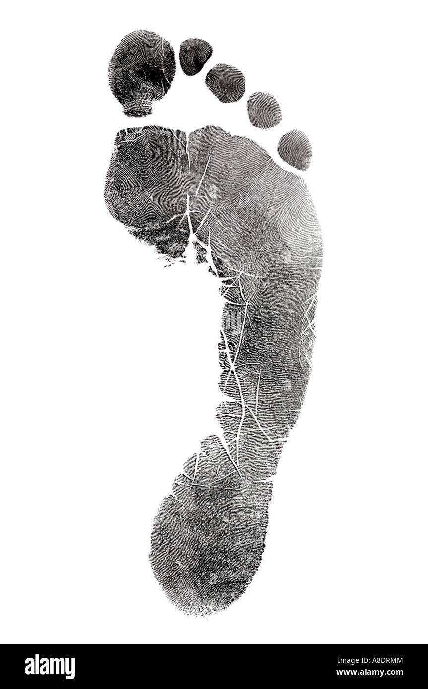 Carbon Footprint High Resolution Stock Photography and Images - Alamy