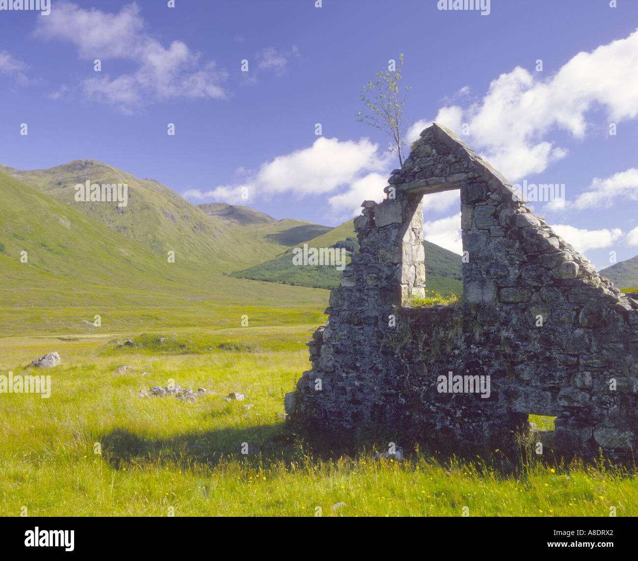 Abandoned Scottish Croft Stock Photo - Alamy