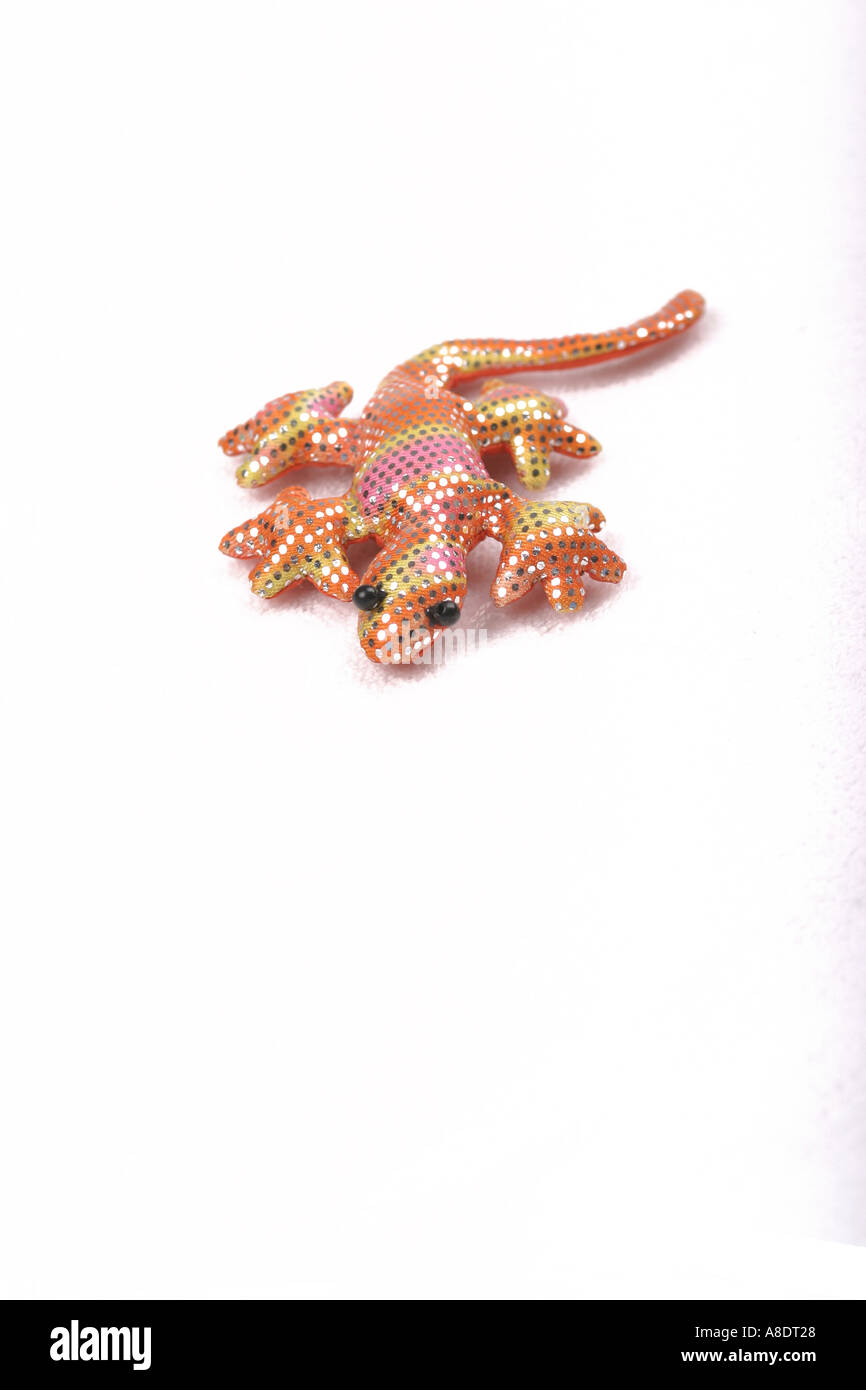 Pink Gecko Isolated Stock Photo - Alamy
