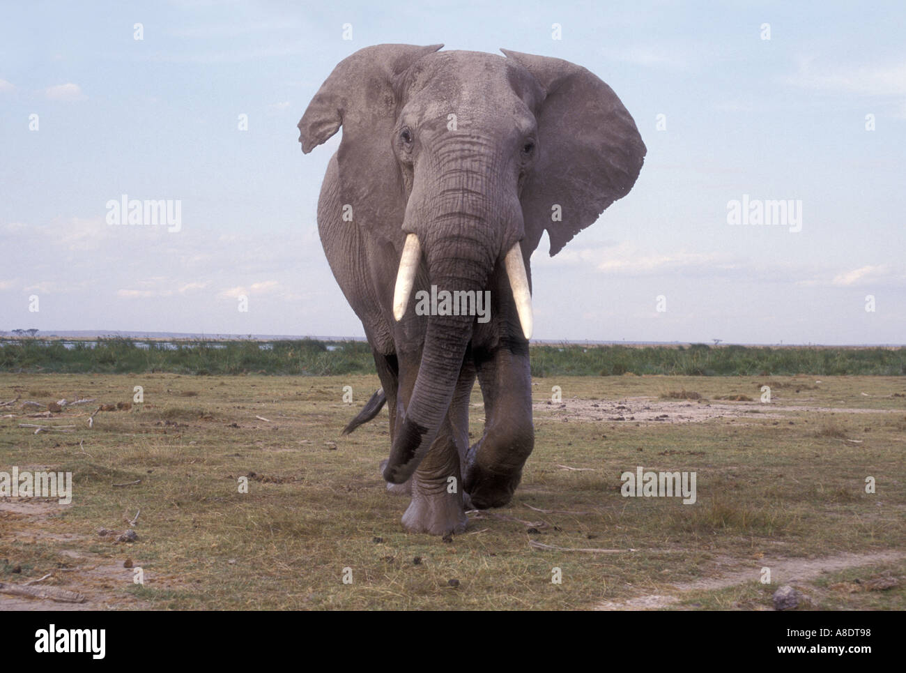 Mock Charge Hi Res Stock Photography And Images Alamy
