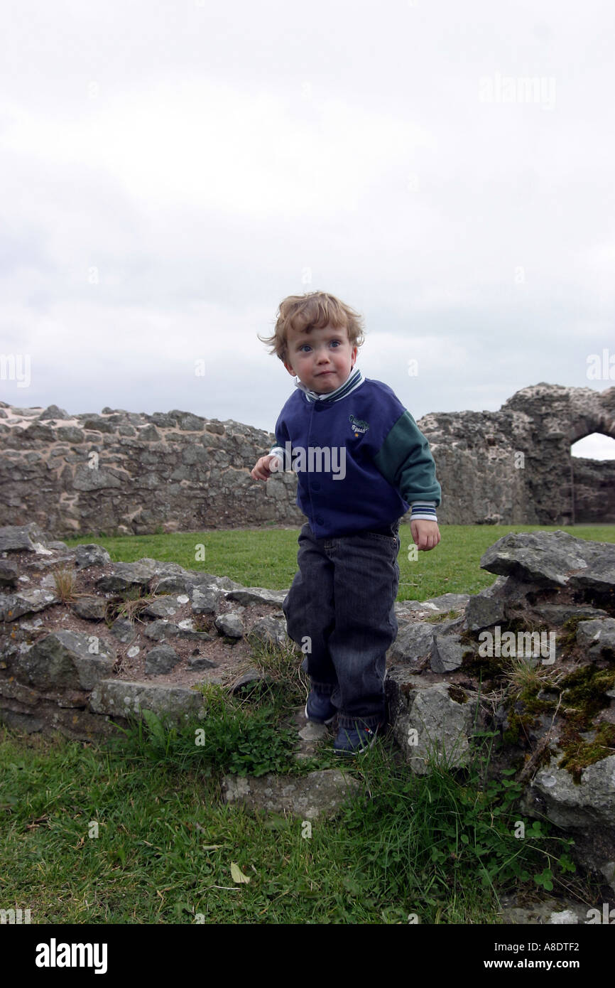Montgomery Castle The original Montgomery Castle Hen Domen was an earth ...