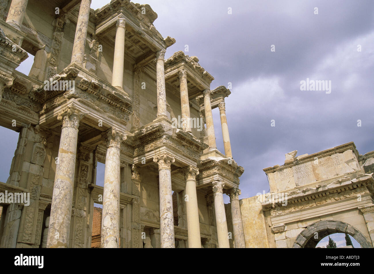 Celcus hi-res stock photography and images - Alamy