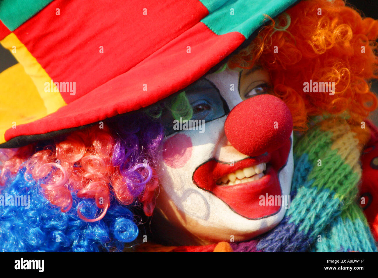Clown, Venice Carnival Stock Photo - Alamy