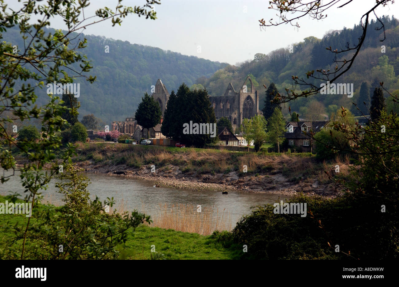 A view of Tintern Abbey in Wales along the Wye Valley UK Stock Photo ...