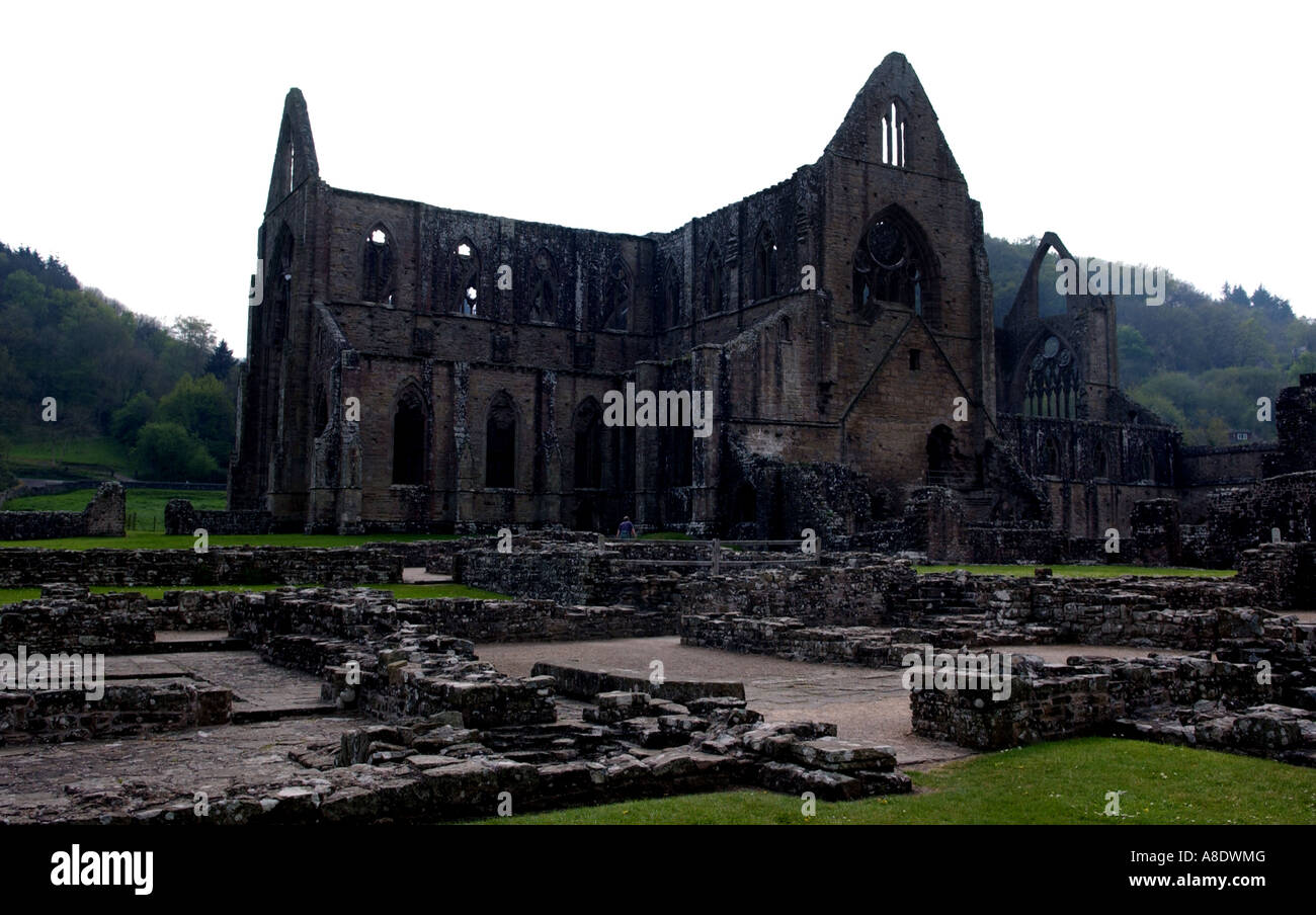 A view of Tintern Abbey in Wales UK Stock Photo - Alamy