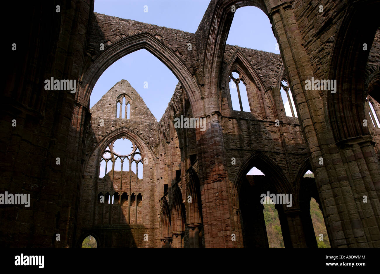 A view inside the church at Tintern Abbey in Wales UK Stock Photo - Alamy