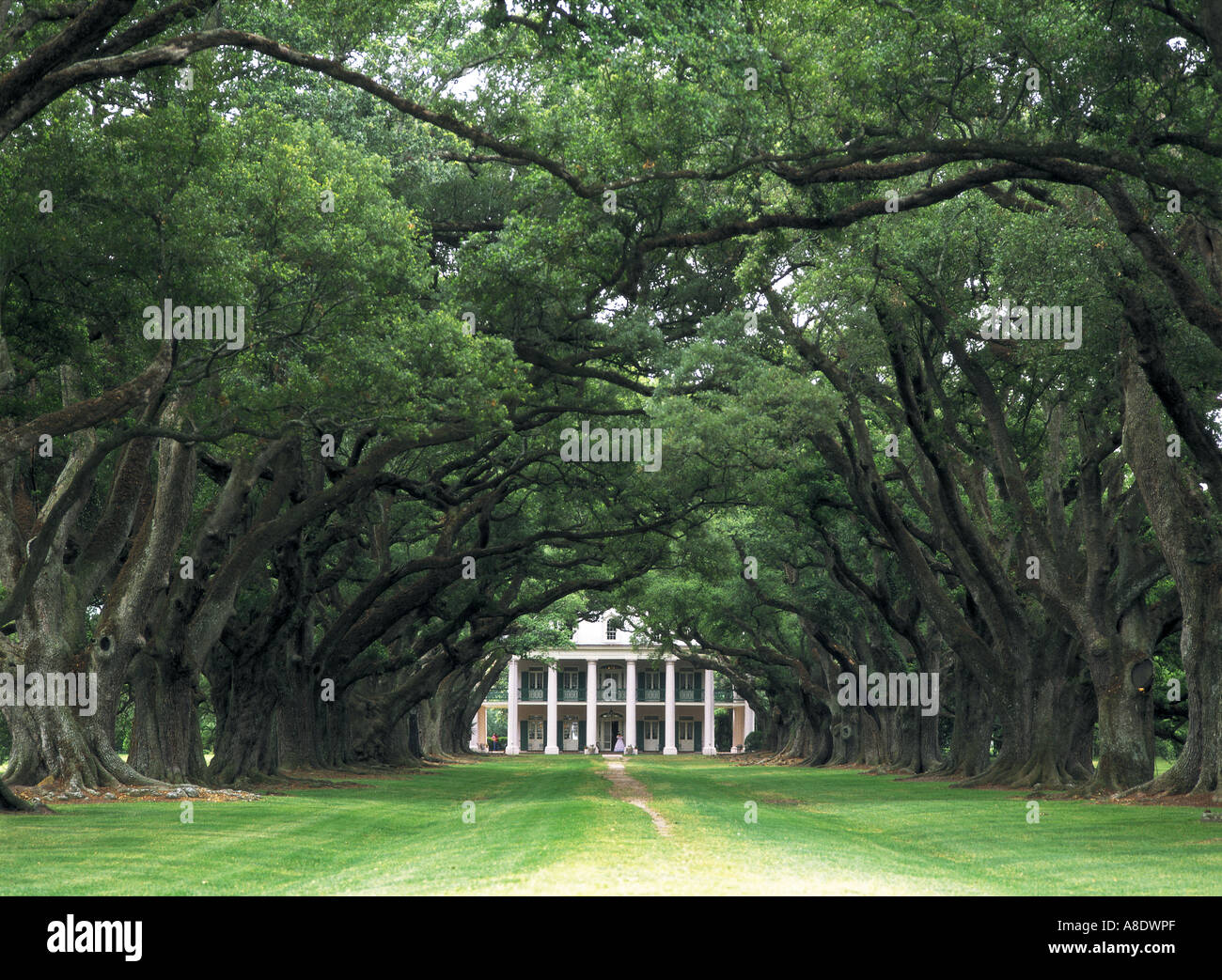 Oak Alley Plantation Louisiana USA Stock Photo - Alamy