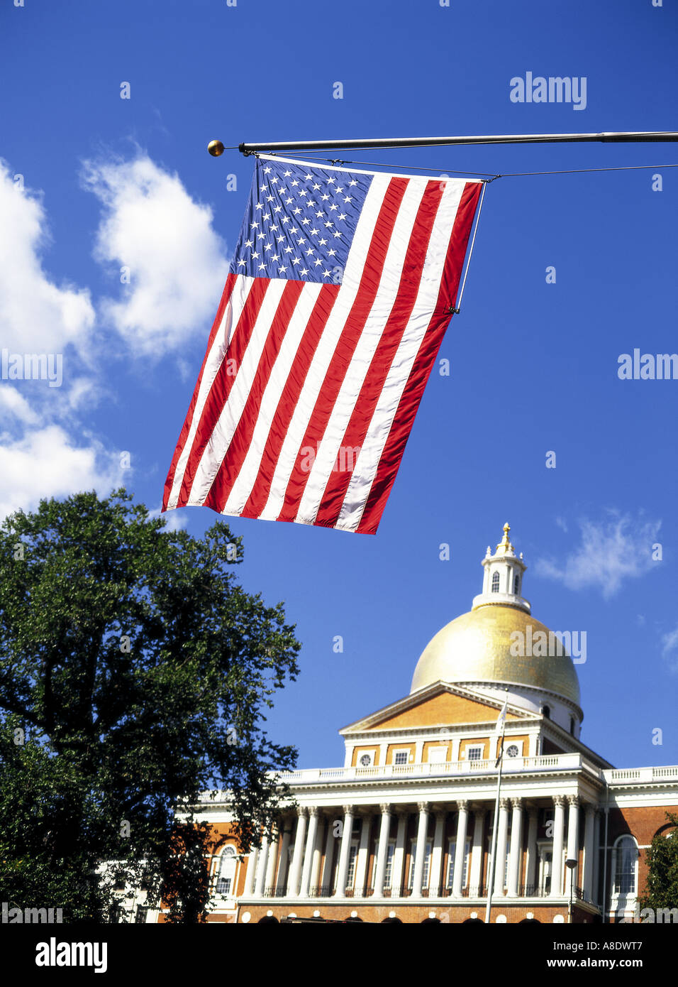 Us capitol building flag hi-res stock photography and images - Alamy