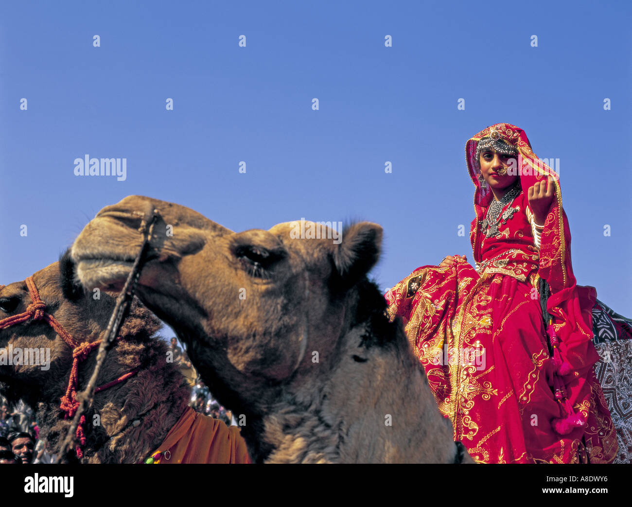 Camel girl hi-res stock photography and images - Alamy