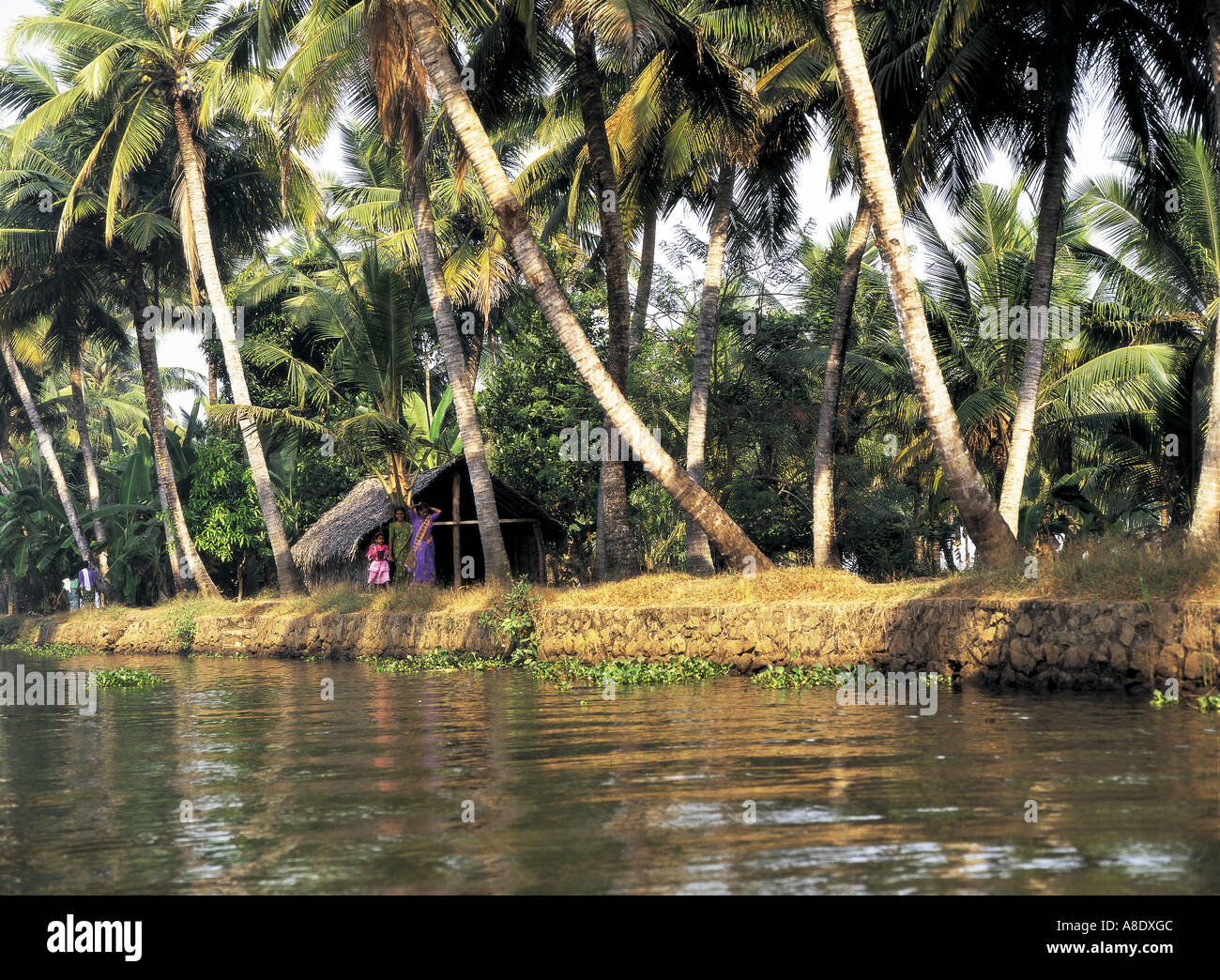 Backwater Kumarakom Kerala South India Stock Photo - Alamy