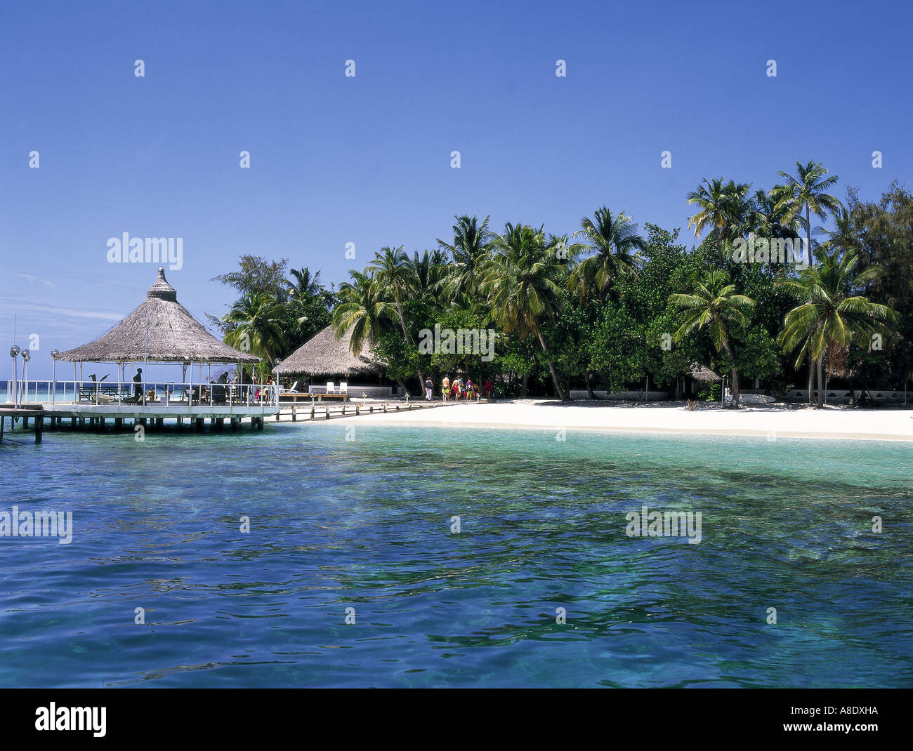 Maldives indian ocean island