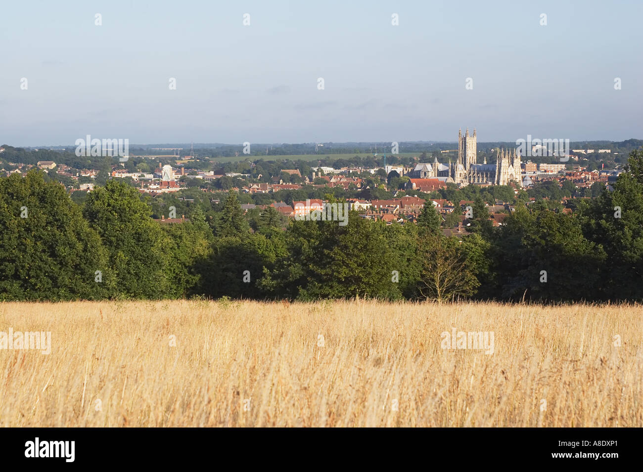 City canterbury county kent hi-res stock photography and images - Alamy