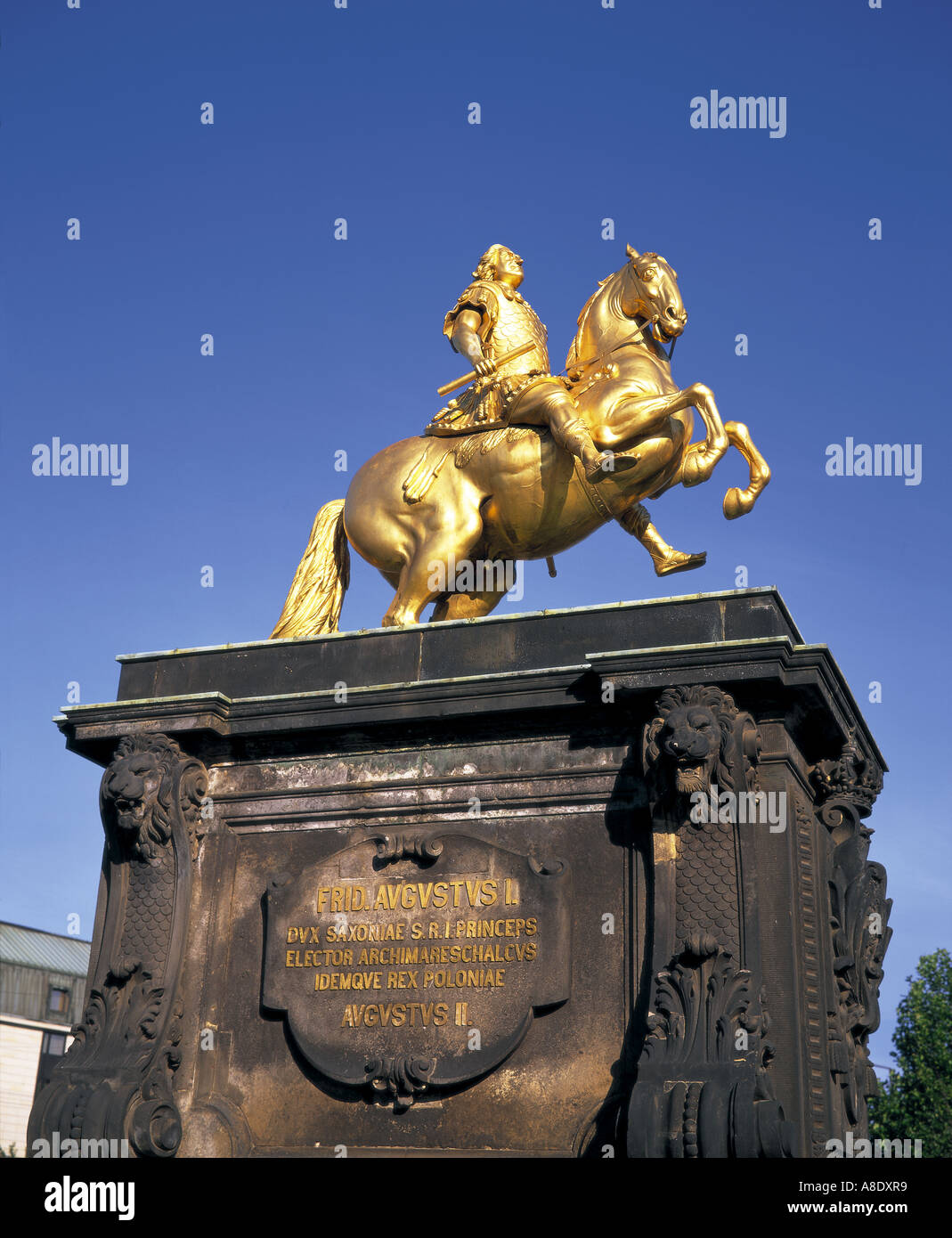 Statue of Friedrich Augustus 1, Dresden, Germany Stock Photo - Alamy