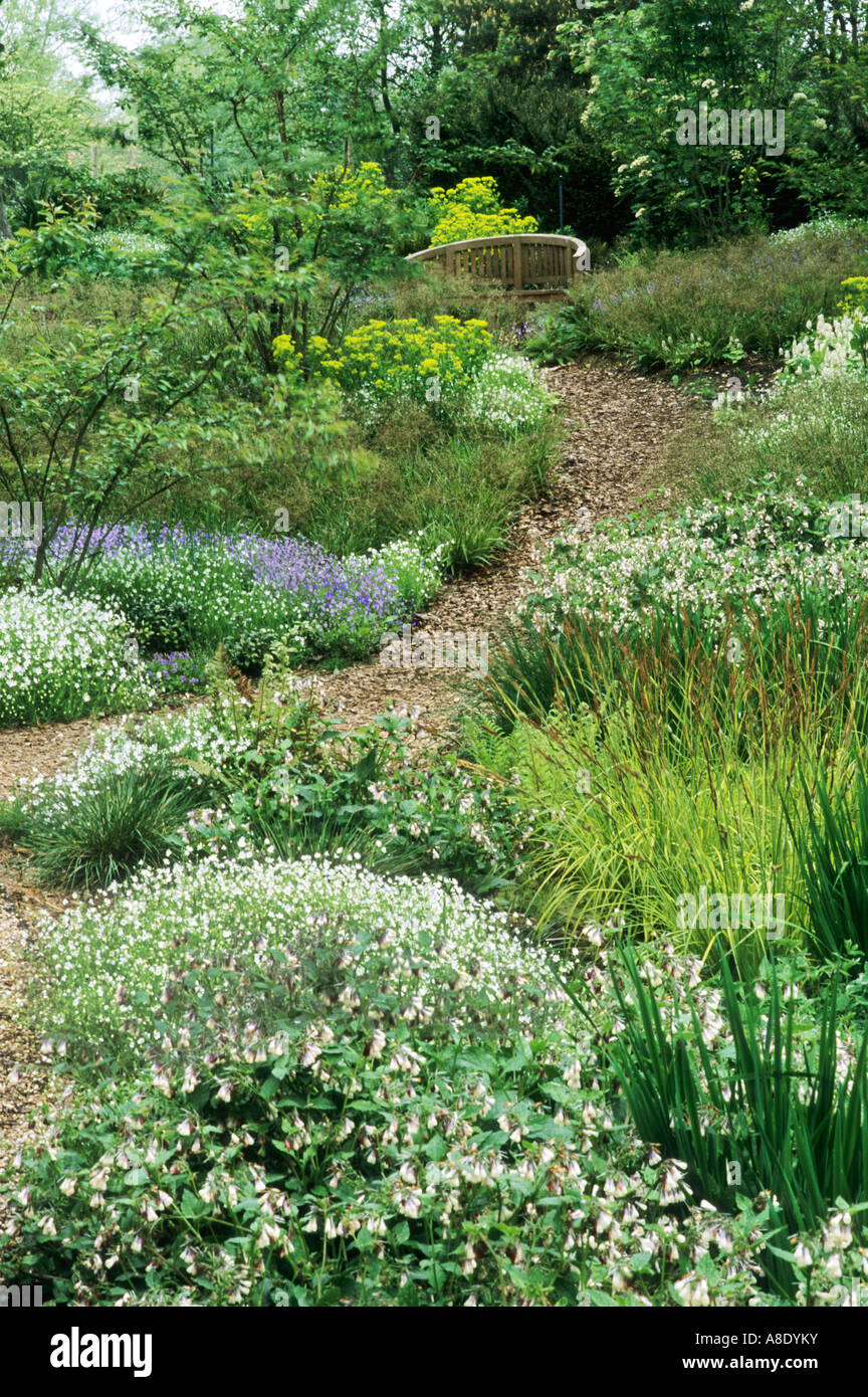 Woodland garden, bark, wood chip path, symphytum, pulmonaria, wooden ...