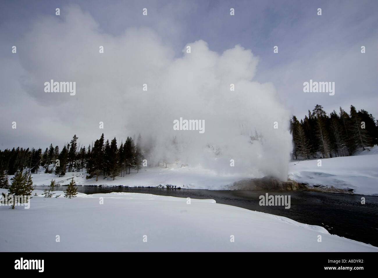 Stream from Riverside Geyser on the firehole river upper geyser basin ...